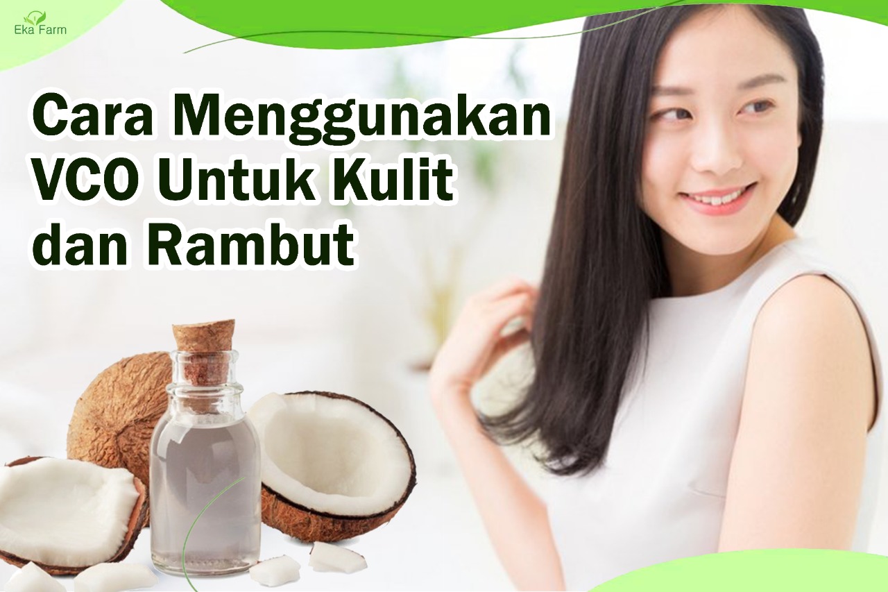 Cara Pakai VCO Yang Benar di kulit dan rambut – Eka Farm